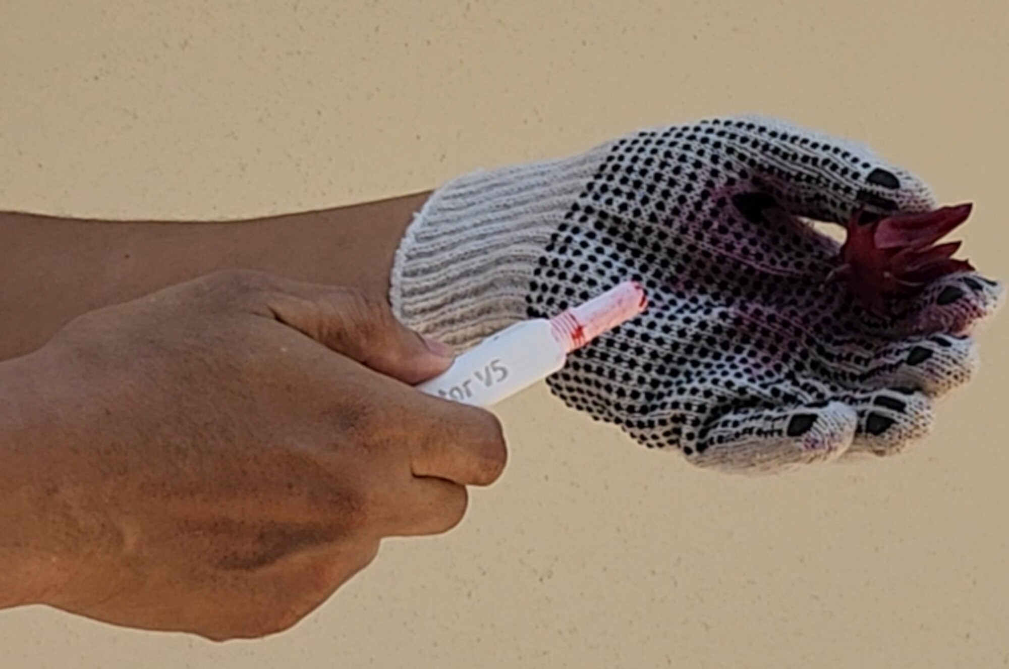 3D Printed Sorrel (roselle Hibiscus) De-seeding / Deseeding Tool ...