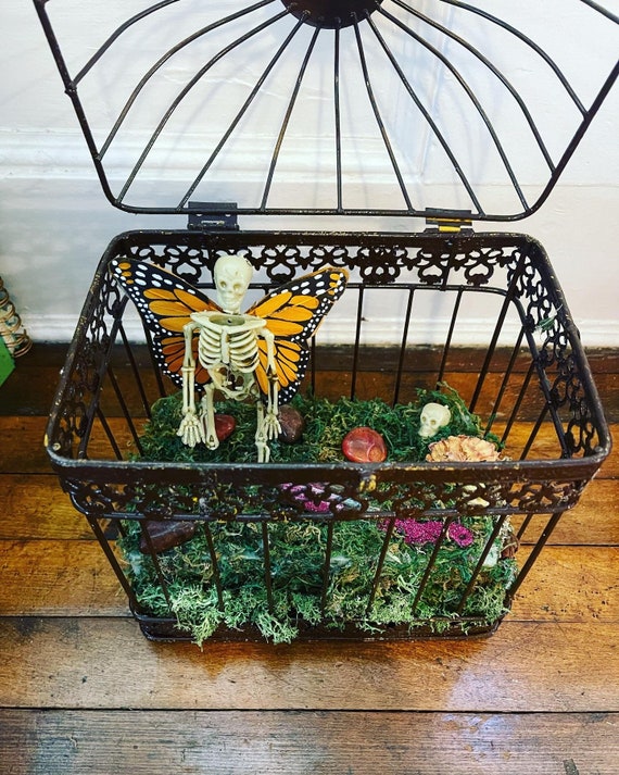 Fairy In A Cage