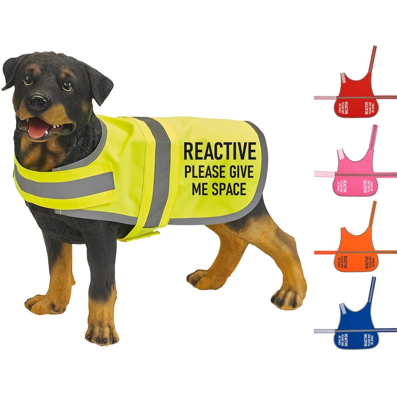 Do Not Pet Vest - Etsy
