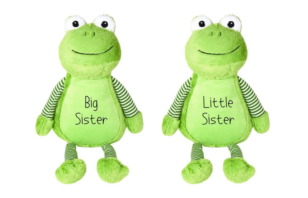 Big & Little Sister Large Plush Green Frog Teddy Cuddly Toy Girls New ...