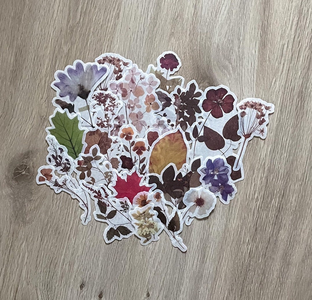 Sticker Pack for Journaling Sticker Pack for Scrapbooking Nature ...