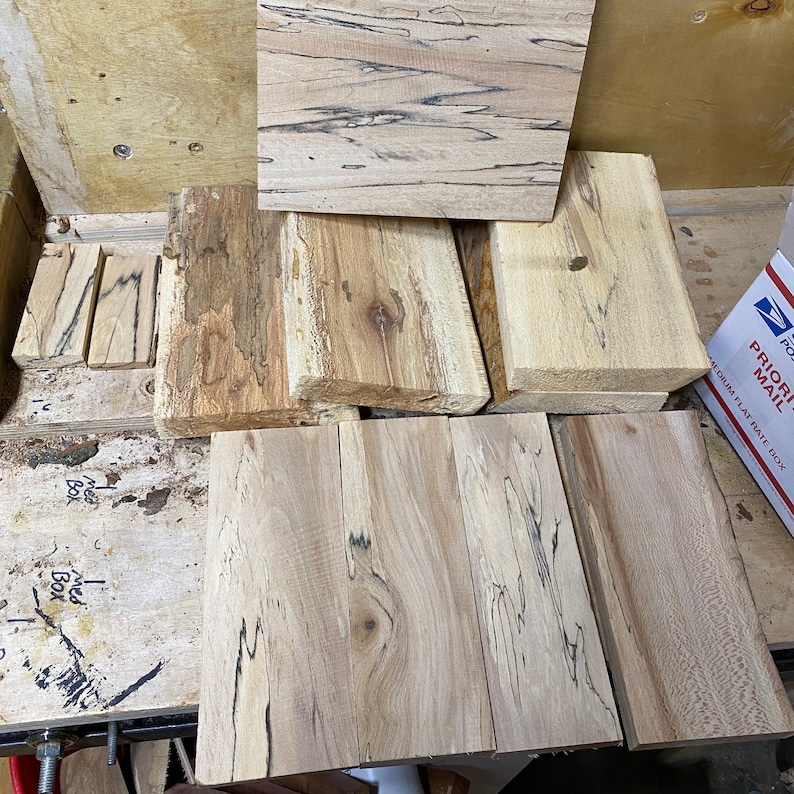 Sale Spalted Wood Scraps. Mix of Live Edge Spalted Wormy. | Etsy
