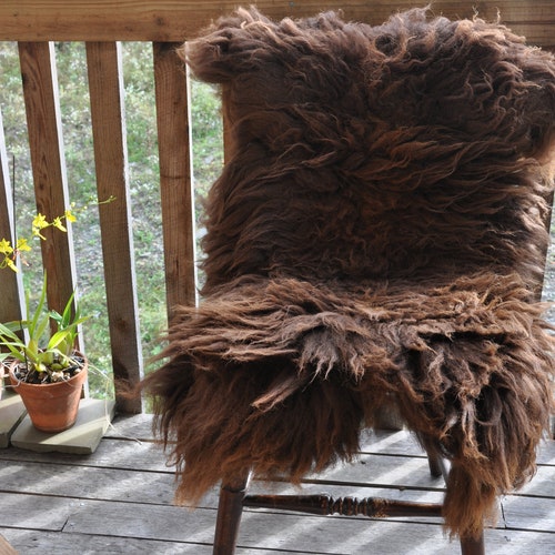 Raw Navajo-churro Sheep Wool Black / Brown 6 Ounces of Raw - Etsy
