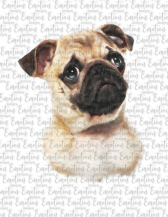 Watercolor Pug PNG Instant Download Sublimation Graphics - Etsy
