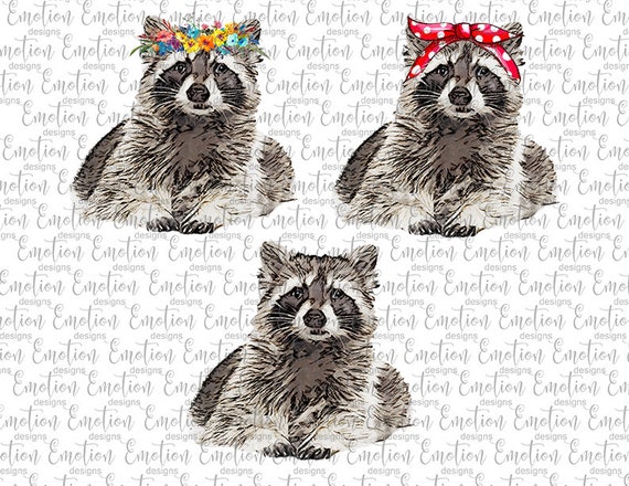 Raccoon Clip Art Bundle Instant Download PNG Sublimation | Etsy