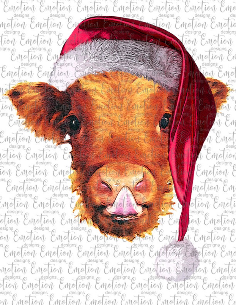 Highland Calf in Santa Hat Watercolor Christmas Clipart, Instant ...