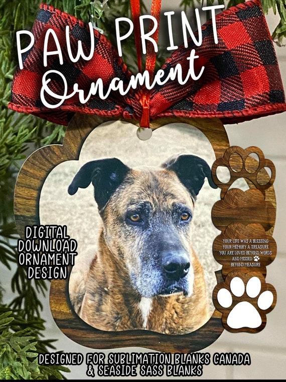 Paw Print Ornament Digital Design Bundle 7 Pngs Instant | Etsy