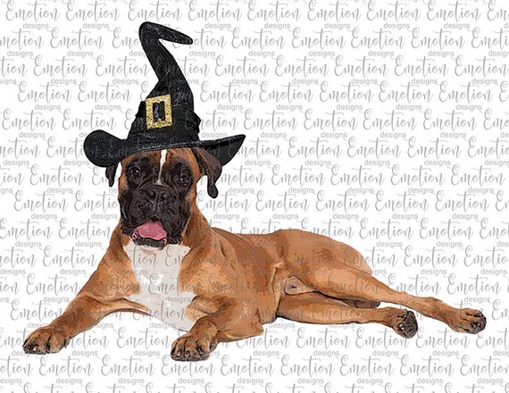 Boxer with Witch's Hat PNG clipart instant download | Etsy