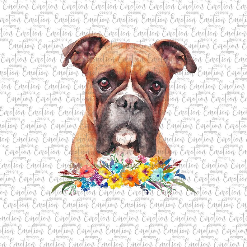 Watercolor Boxer With Flowers PNG, Instant Download, Sublimation ...