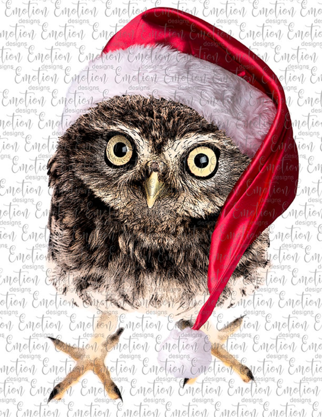 Christmas Owl Clipart, Instant Download, Sublimation Graphics, PNG, DTF ...