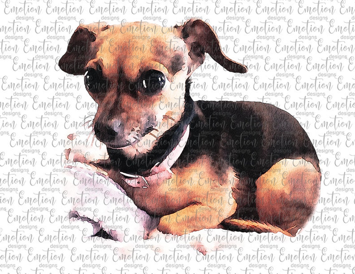 Chiweenie Watercolor PNG instant download Sublimation | Etsy