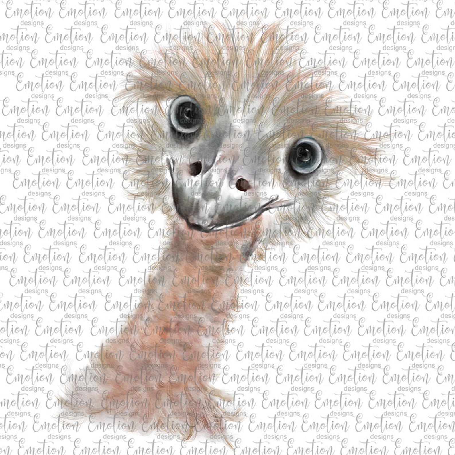 Watercolor Emu Original Art PNG Instant Download Sublimation - Etsy