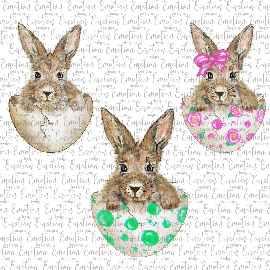 Watercolor Easter Bunny in Egg Bundle, Instant Download, PNG ...
