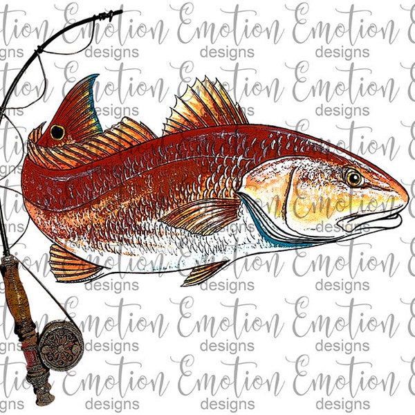 Redfish Png - Etsy