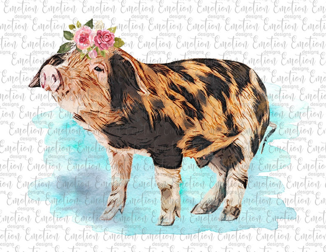 Spotted Pig, Instant Download, Sublimation Graphics, PNG, DTF Printing ...