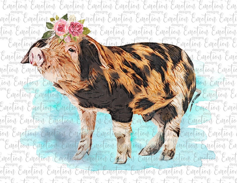 Spotted Pig Instant Download Sublimation Graphics PNG - Etsy