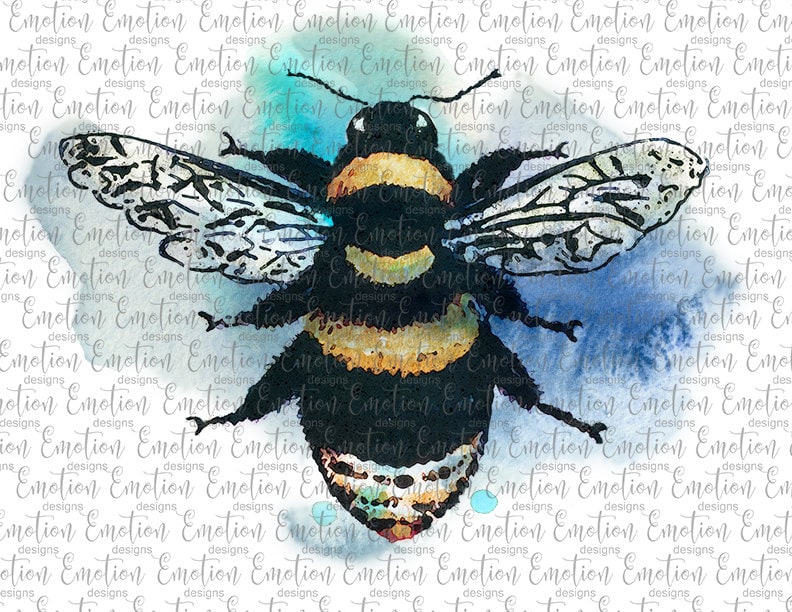 Bee Watercolor PNG, Honeycomb, Instant Download, Sublimation Graphics ...