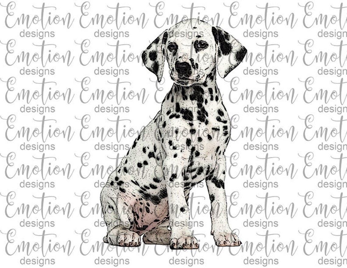 Watercolor Dalmation PNG Instant Download Sublimation - Etsy