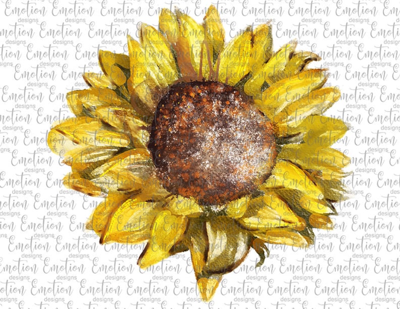 Watercolor Sunflower 2 PNG, Clipart, Instant Download, Sublimation ...