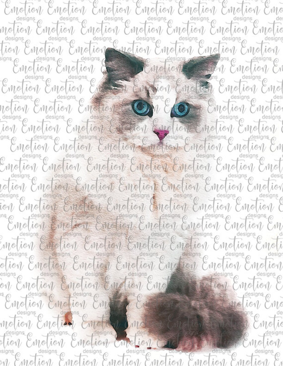 Ragdoll Cat Watercolor PNG, Instant Download, Sublimation Graphics ...