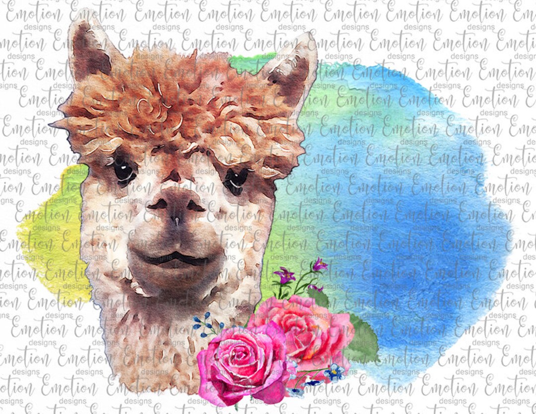 Llama Watercolor PNG, Instant Download, Sublimation Graphics, Clipart ...