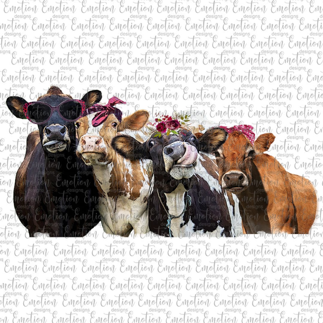 Group of 4 Cows Clipart, Instant Download, Sublimation Graphics, PNG ...