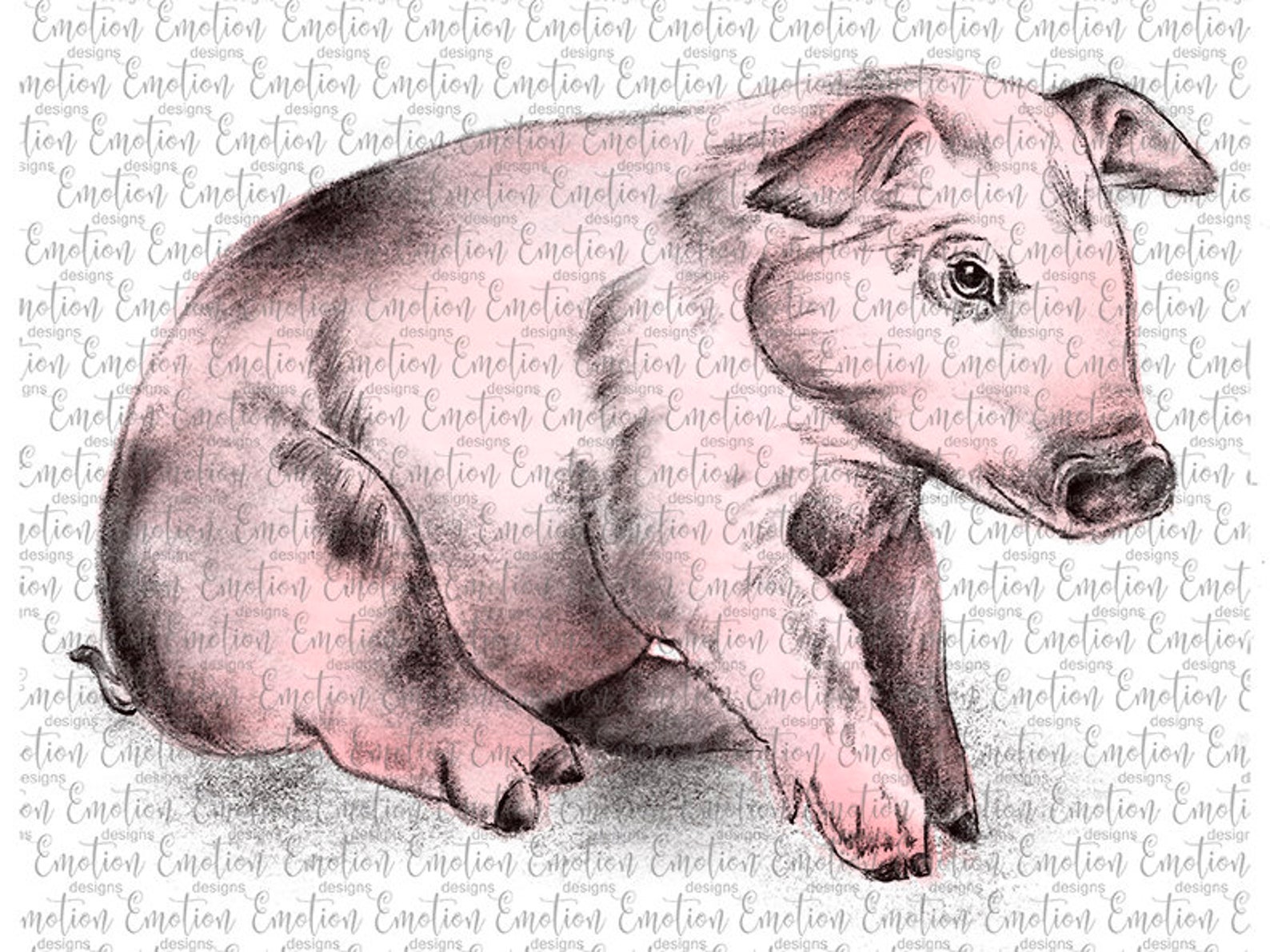 Watercolor Pig Sketch Pink Instant Download PNG - Etsy