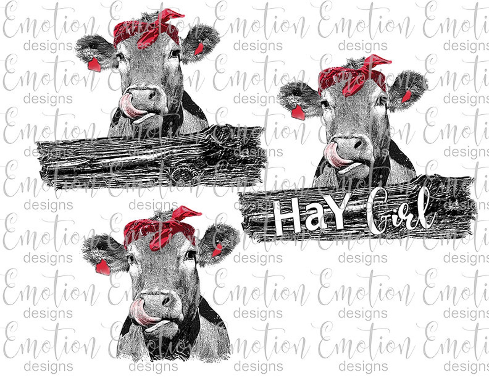 Hay Girl Cow Heifer BUNDLE PNG, Instant Download, Sublimation Graphics ...