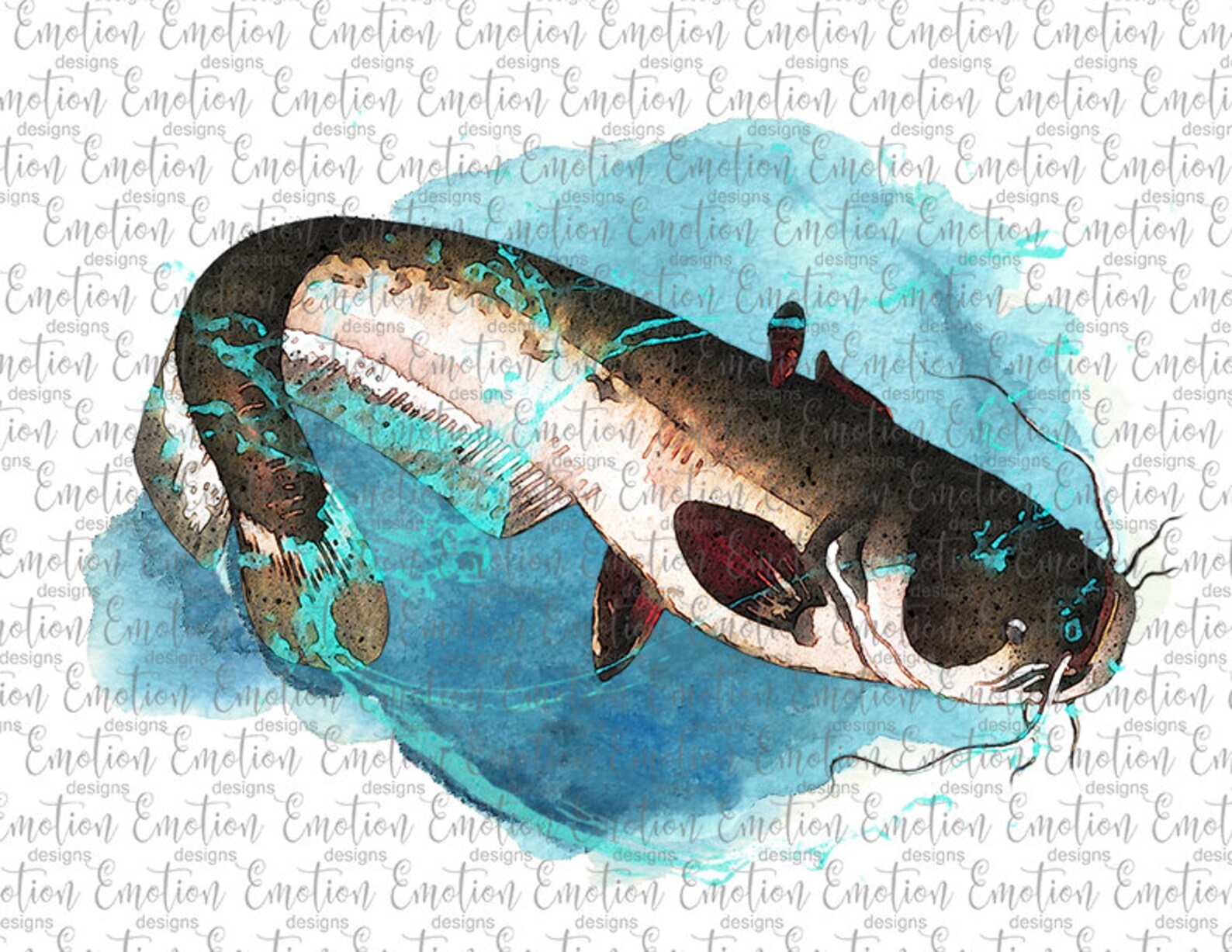 Catfish Watercolor Instant Download, PNG, Sublimation Graphics - Etsy