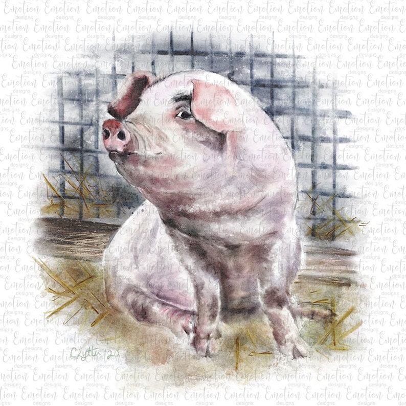 Pig Watercolor Original Artwork Instant Download - Etsy