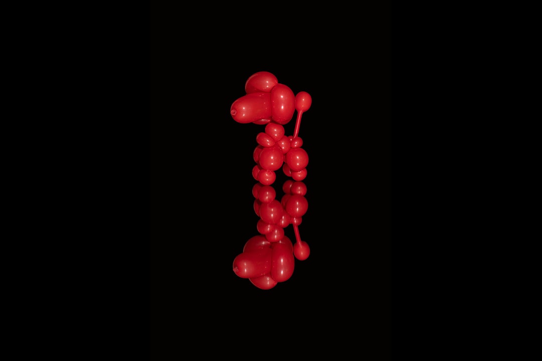Red Balloon Animal Poodle Dog Over Reflection on Black. Photographic ...