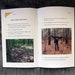 Bigfoot Book Sasquatch Book Stick Structures Book Field Guide ...