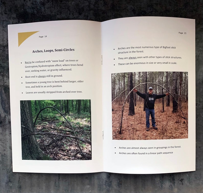 Bigfoot Book Sasquatch Book Stick Structures Book Field Guide ...