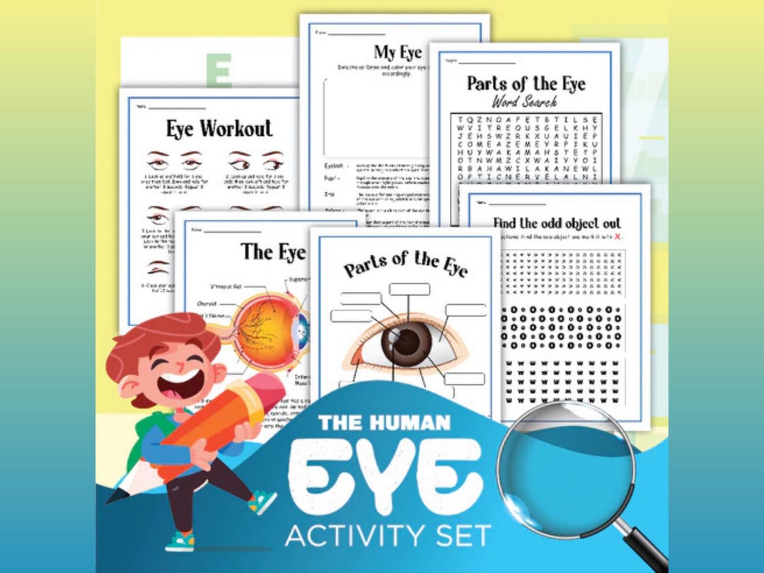 Human Eye Activity Set | Printable Eye Chart & Diagram Worksheets ...