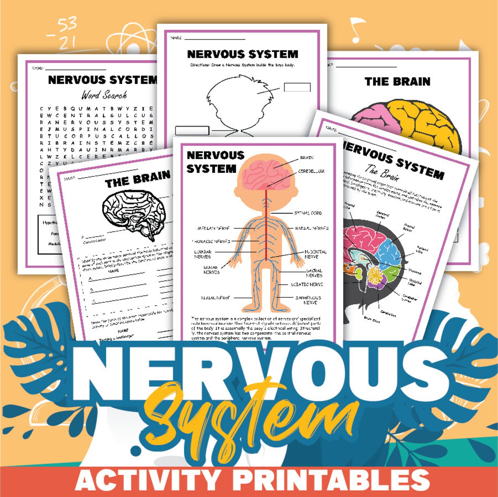 Nervous System Activity Set - Etsy
