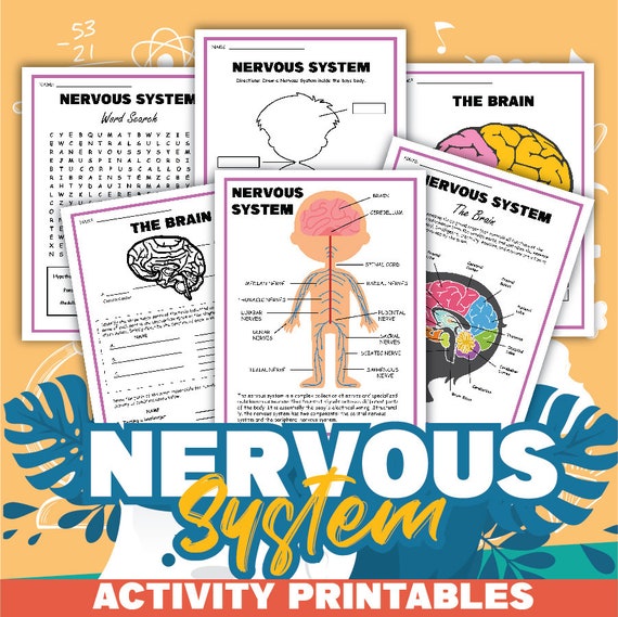 Nervous System Activity Set - Etsy