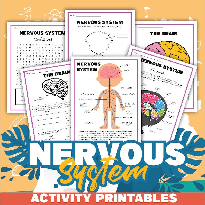 Nervous System Activity Set - Etsy