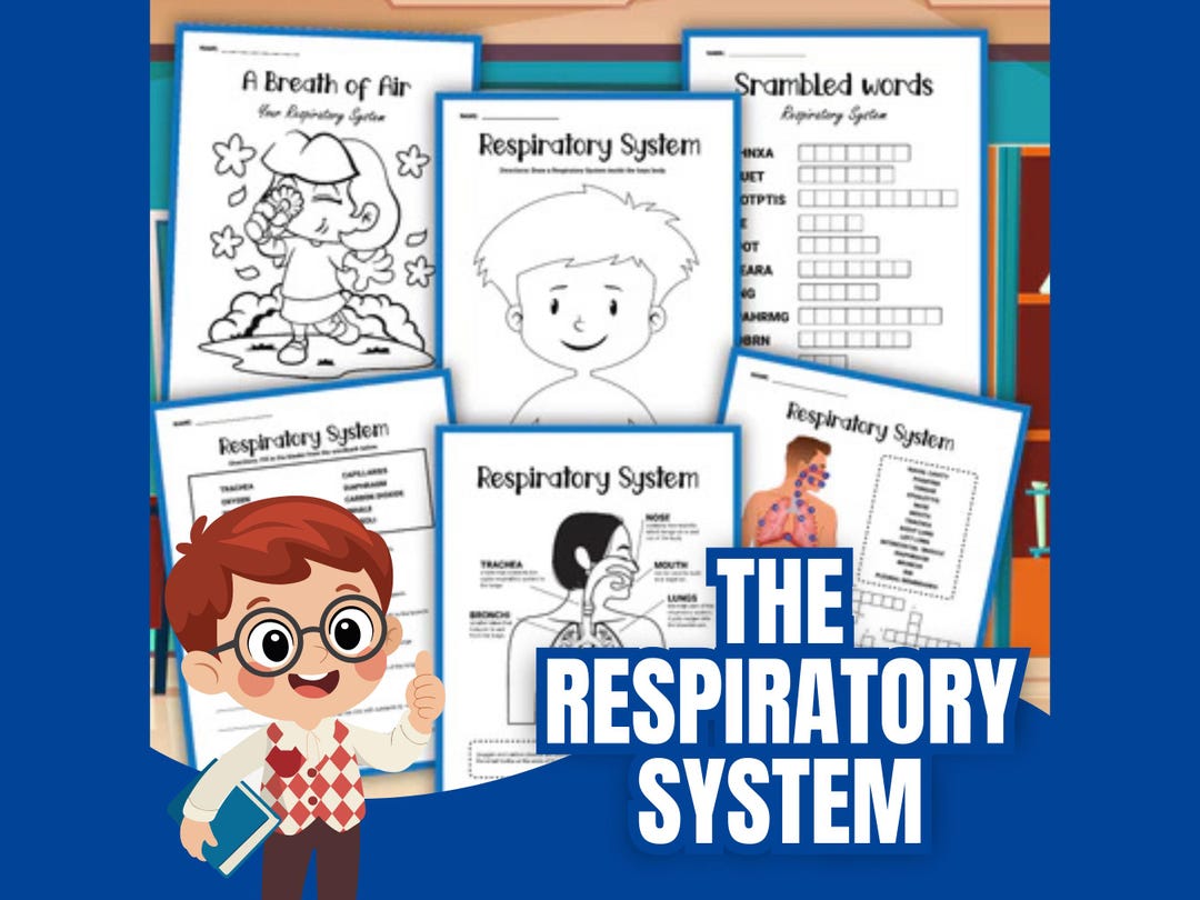 Respiratory System Worksheets for Kids | Printable Activity Pack ...
