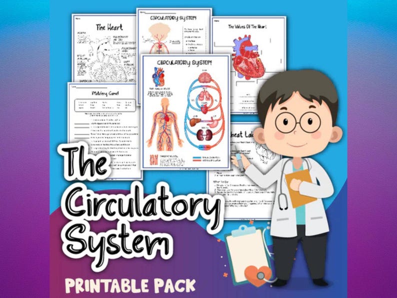Kids Circulatory System Learning Kit: Printable Diagrams, Printable ...