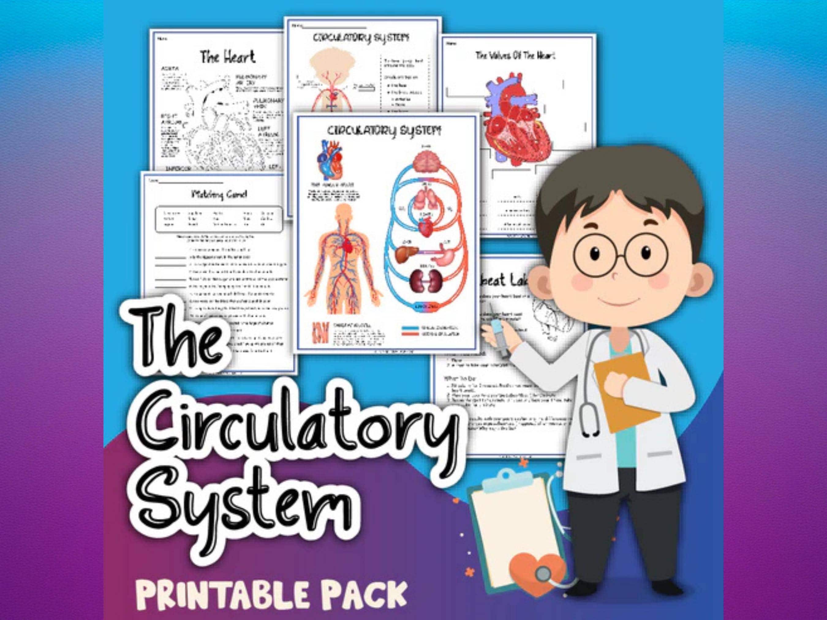 Kids Circulatory System Learning Kit: Printable Diagrams, Printable ...