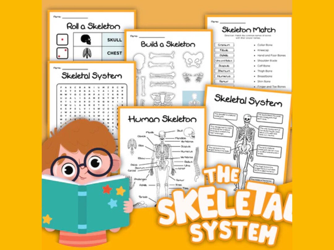 Skeletal System Activity Set | Printable Bones & Joint Worksheet for ...