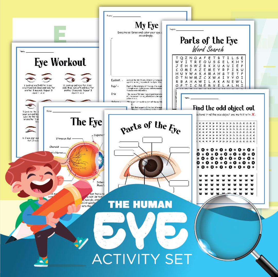 Printable Human Eye Study Bundle, Educational Activity Pack, Eye ...