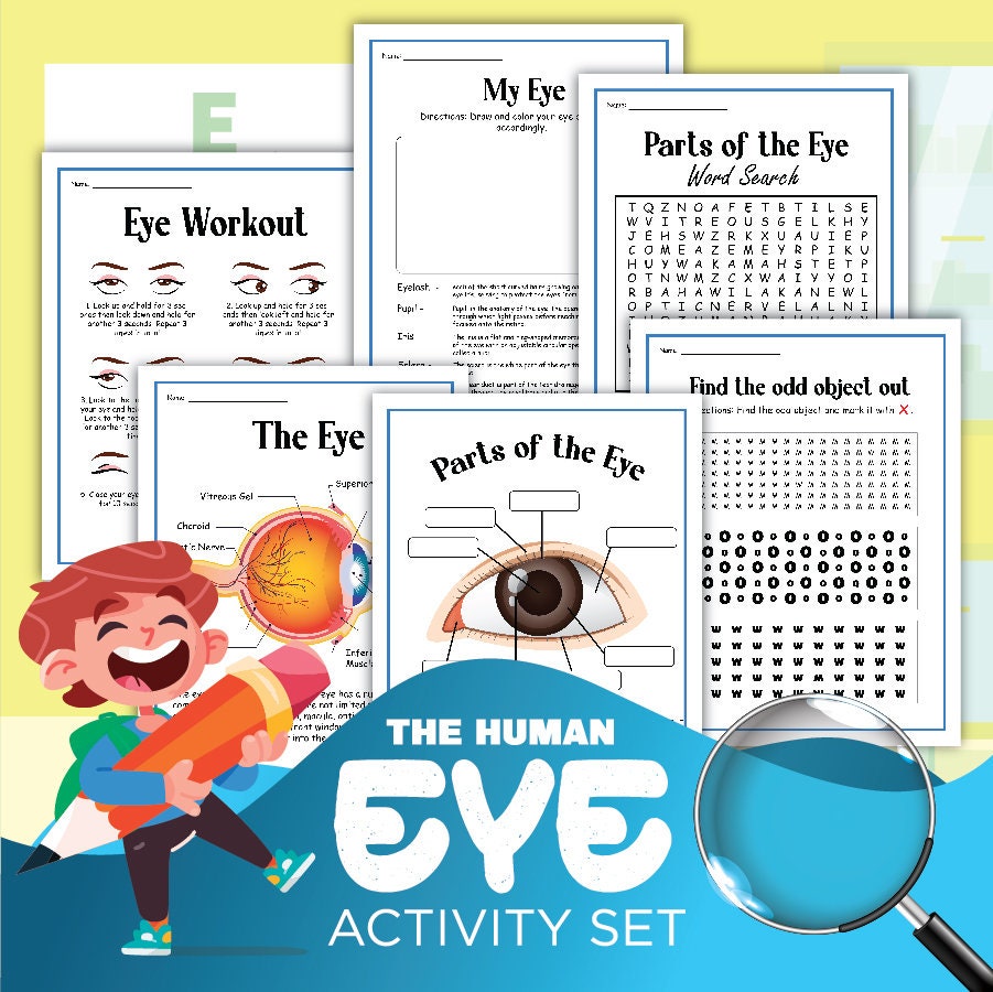 Printable Human Eye Study Bundle, Educational Activity Pack, Eye ...