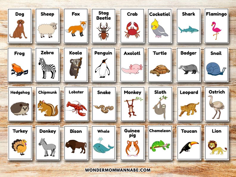 Animal Printable Game Cards – Headband Game, Memory, & 20 Questions ...