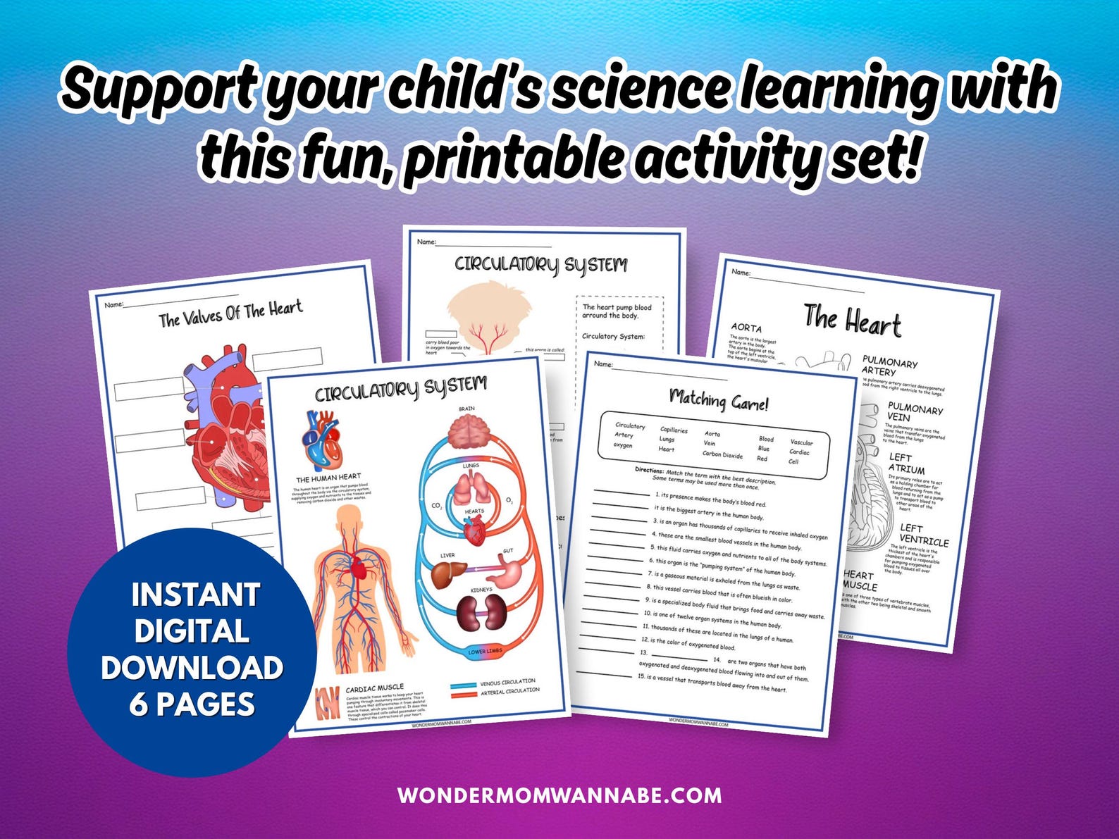 Kids Circulatory System Learning Kit: Printable Diagrams, Printable ...