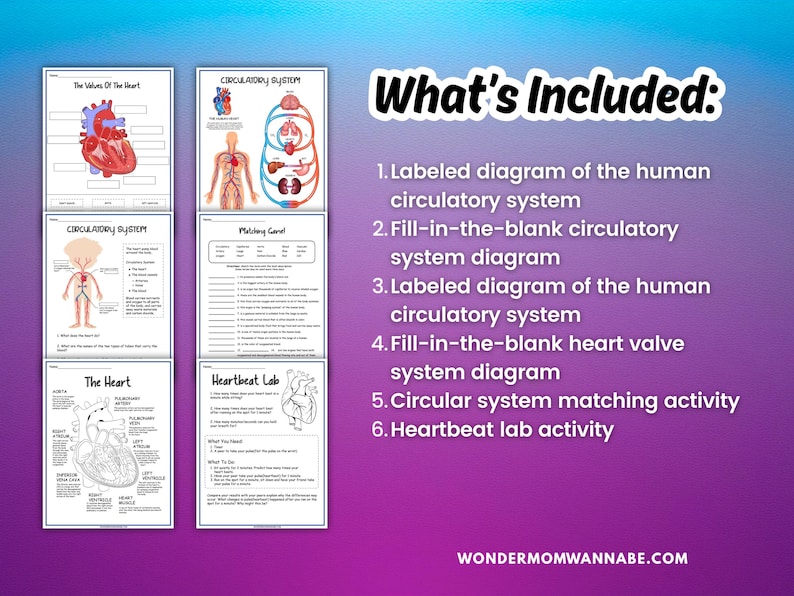 Kids Circulatory System Learning Kit: Printable Diagrams, Printable ...