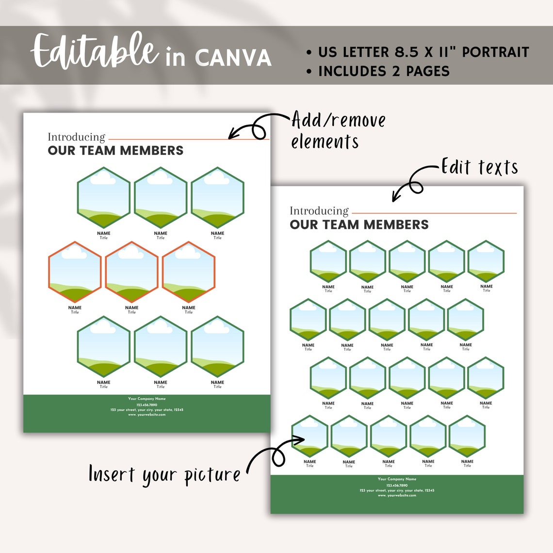 Meet the Team Flyer Template Canva Modern Team Introduction Editable ...