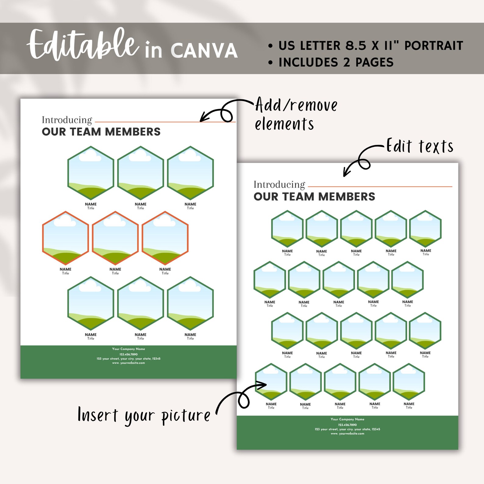 Meet the Team Flyer Template Canva Modern Team Introduction Editable ...