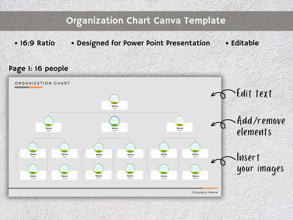 Editable Organization Chart Template: Canva & Powerpoint (digital ...