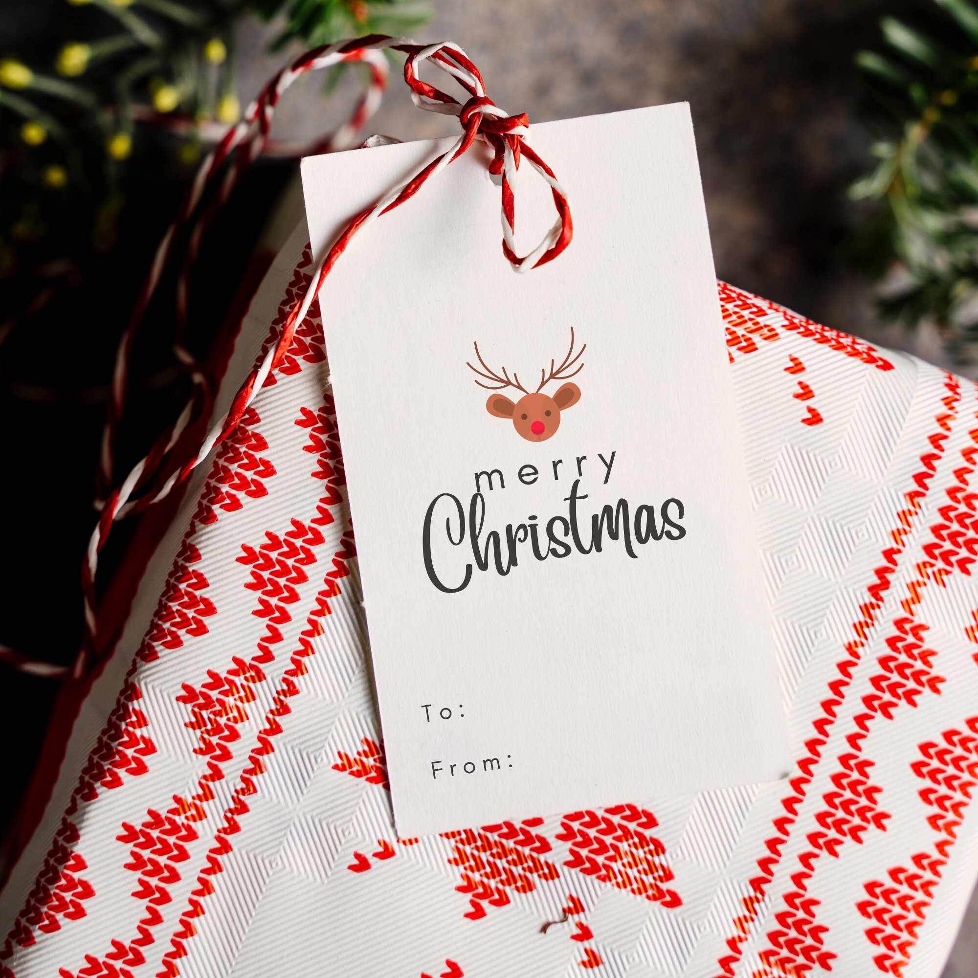 Reindeer Christmas Gift Tag Printable Instant Download DIY Merry ...
